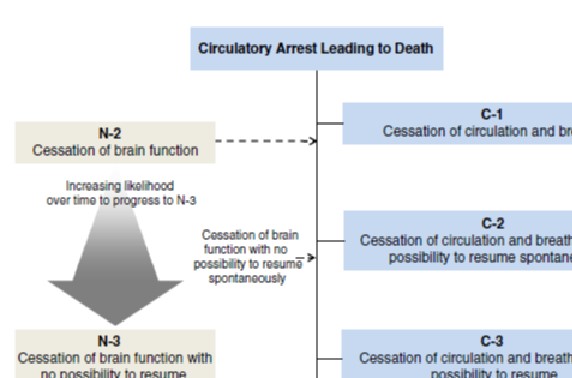 Degrees of death – ICMWK