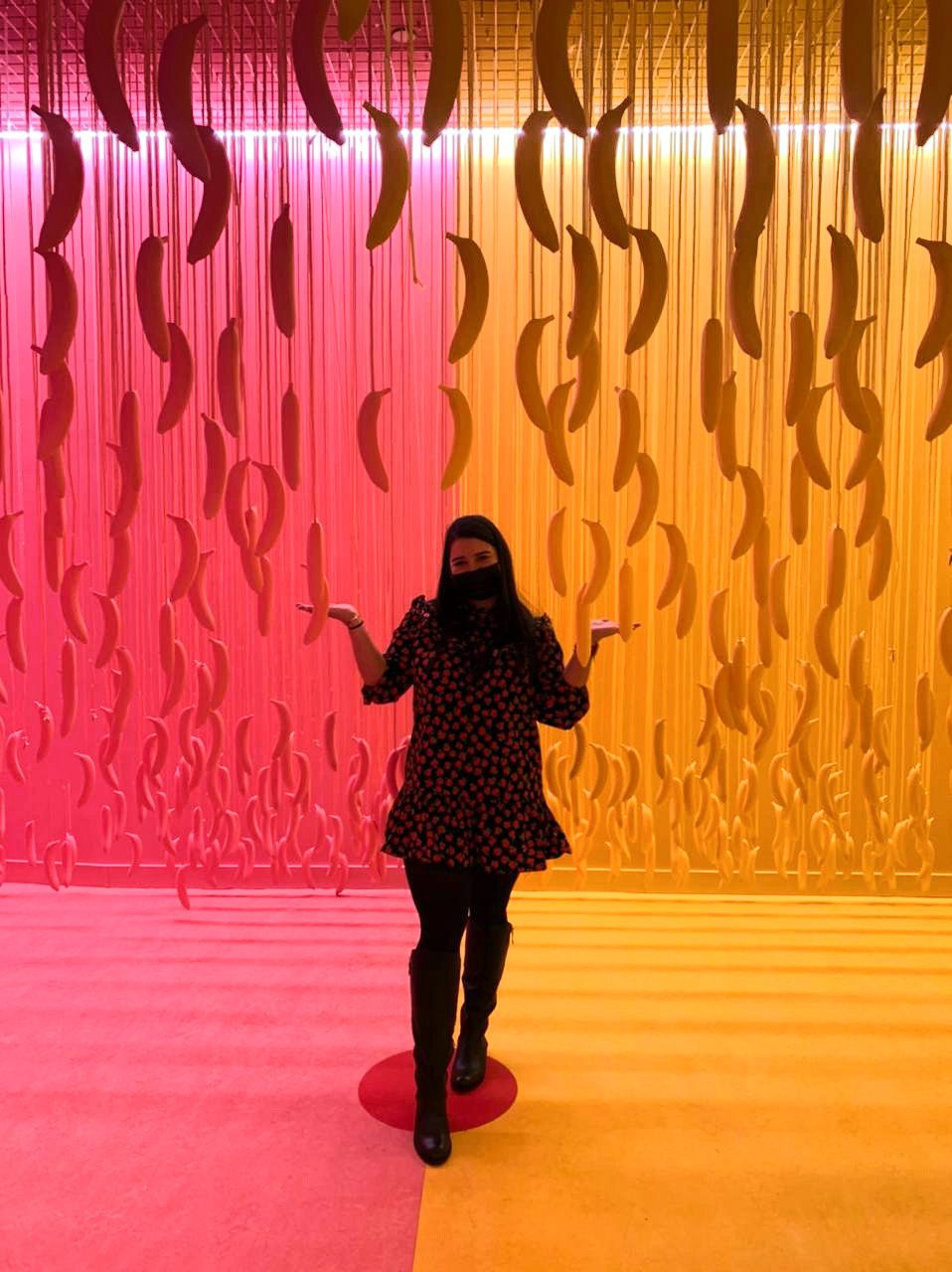 Arlene Cruz y Manuel Castellanos se comprometen en La Habana, Cuba