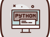 How To Handle Case Sensitive Values In Python Development Labex
