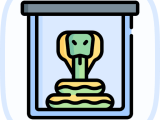 Maîtrise Des Tuples Python Dans Une Arène Virtuelle Labex