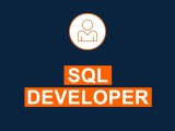 Hire Expert Sql Developers In India Usa And Uk Ics