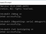 Environment Setup For Windows Kernel Debugging With Windbg Ring 0x00