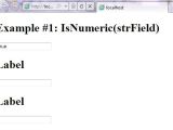Vb Net Asp Net Isnumeric Source Code Syntax Example Idealprogrammer