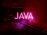 Certified Java Developer Cjd