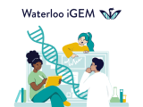 Home Waterloo Igem