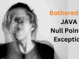 Java Nullpointerexception Npe Quick Fix Do This First