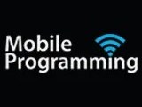React Native Developer At Mobile Programming