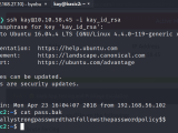 Writeups Tryhackme Basic Pentesting Easy Ibrahim K