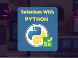 Master Selenium With Python Ultimate Guide Pdf Cheat Sheet