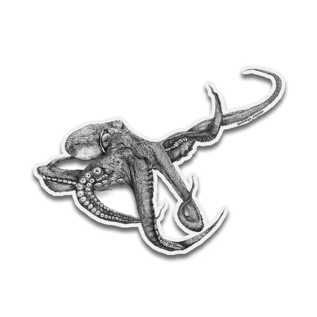 Sticker Pulpo - Illustrape