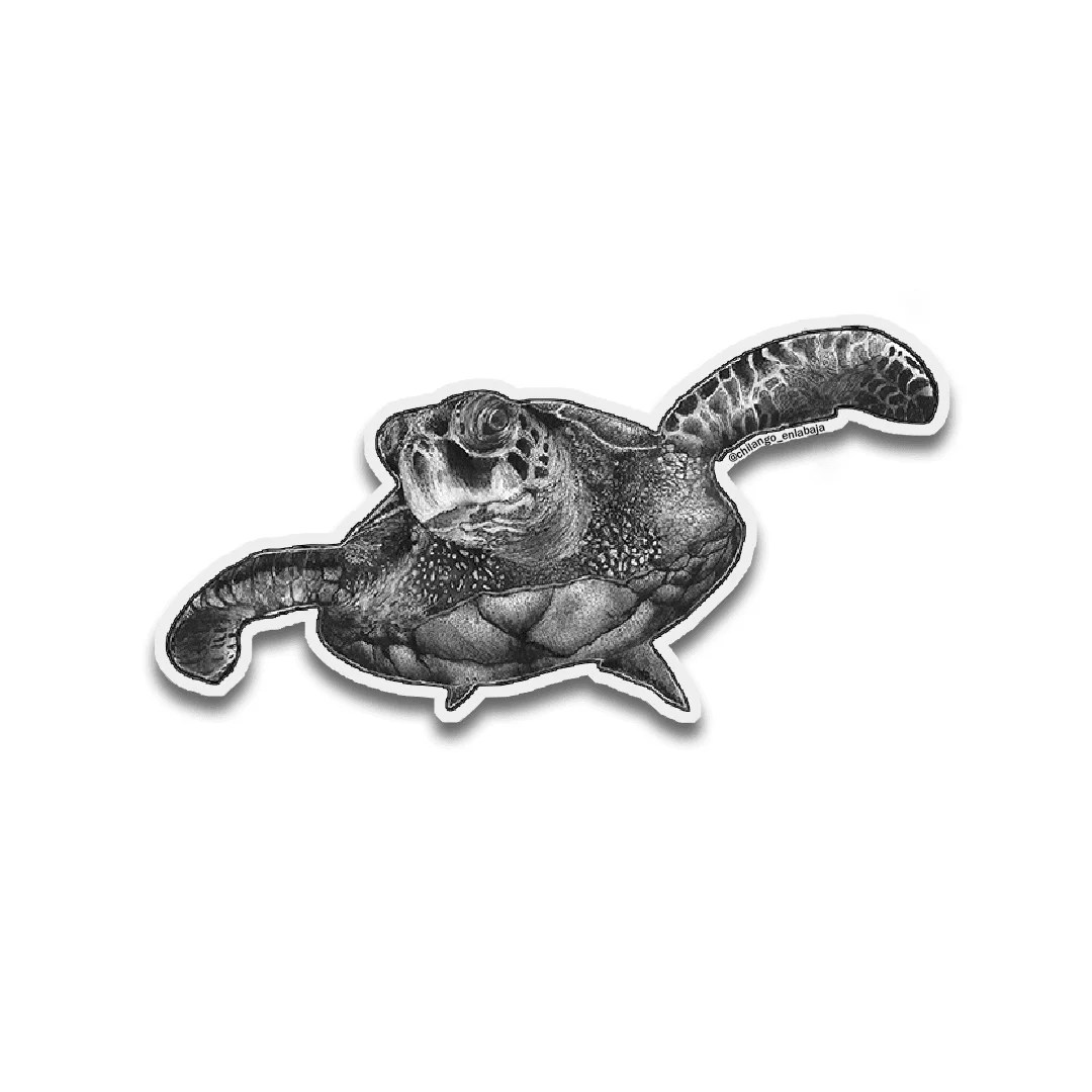 Sticker Tortuga - Illustrape