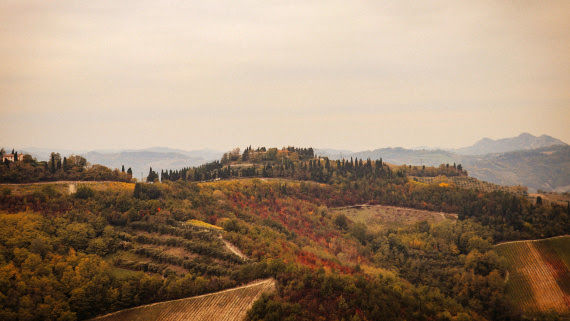 Un hub artistico e culturale sulle colline romagnole: nasce Crinale ...