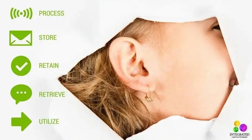 Auditory System: “Kindergarten Guide” to Auditory Processing and How ...