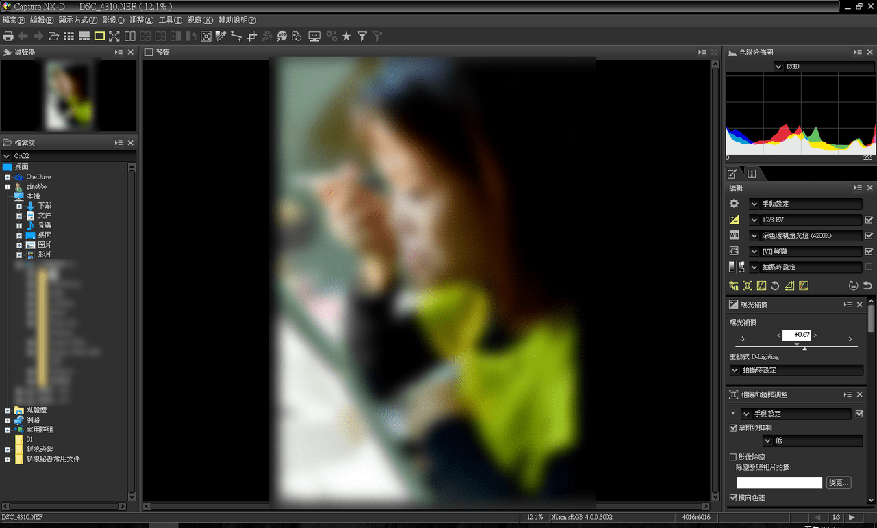 Nikon NEF (RAW檔) 官方修圖 Capture NX-D 讓色彩更加艷麗 - 小博數位生活