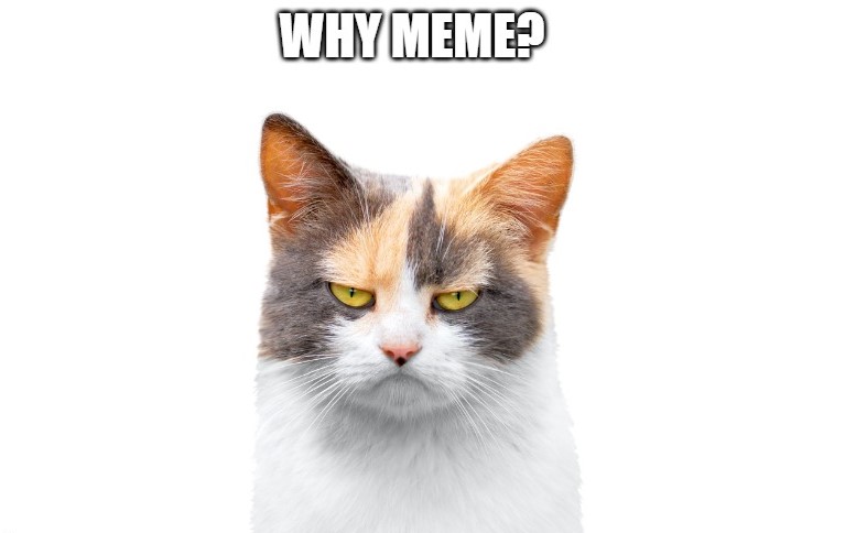 Memes Category - Colorful Picture Collection - 8K Quality