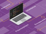Object Oriented Programming Vector Premium Download