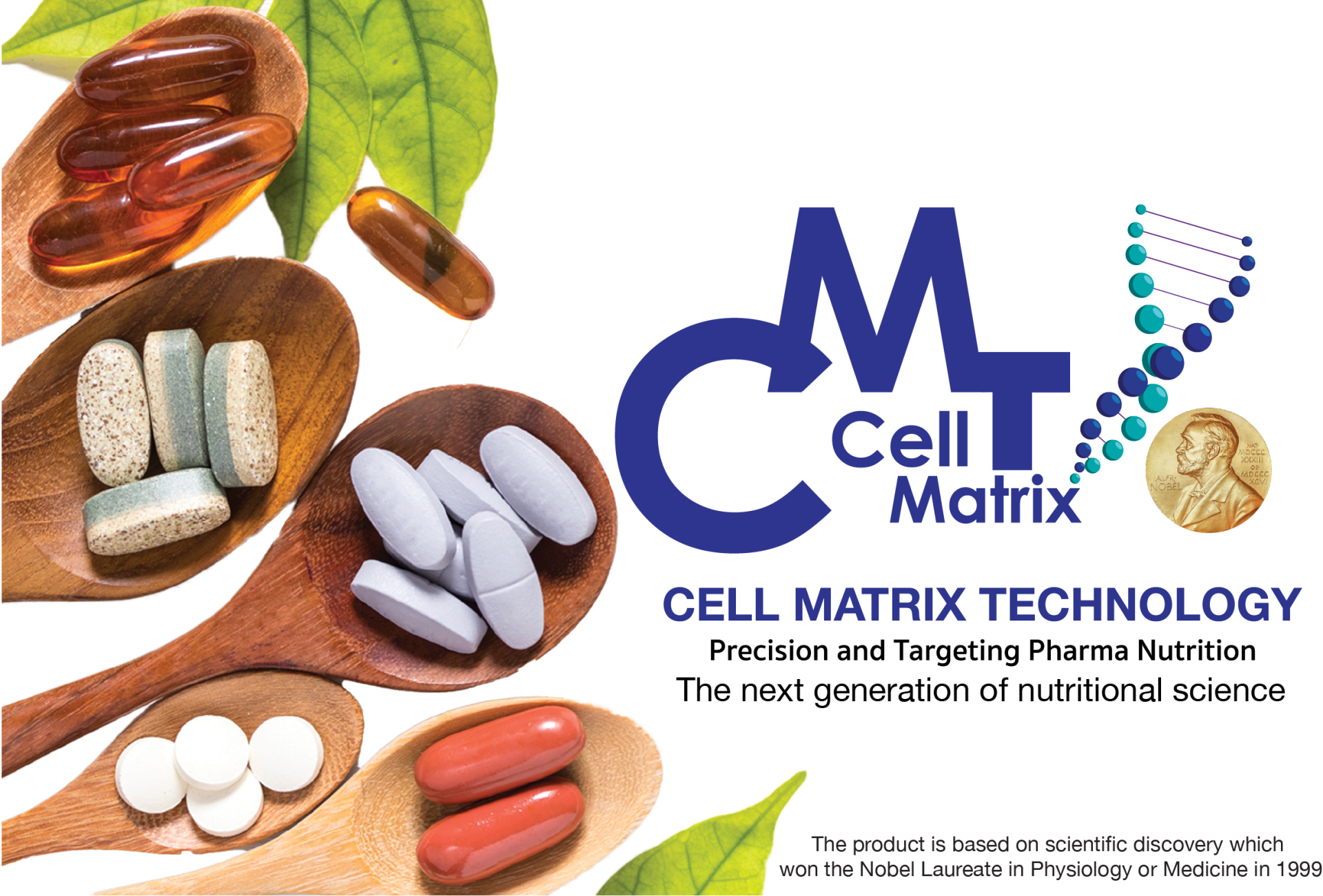 Introduction Cell Matrix Technology