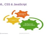 Javascript Chapter 3 Introduction Pdf