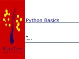 Python Programming Basic Introductions Ppt
