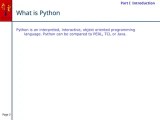 Python Programming Basic Introductions Ppt