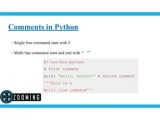 2 Python Basic Syntax Pdf