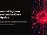 2essential Python Libraries For Data Analytics 1 Pdf