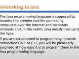 Networking In Java Advanced Programming Pdf