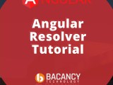 Angular Resolver Tutorial Pdf