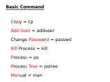 Basic Command Pdf