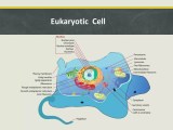 Basic Biocomputing Ppt Free Download