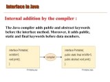 Basic Java 10 Pdf