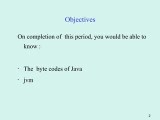Byte Code Jvm Ppt
