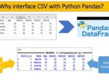 Python And Csv Connectivity Pptx