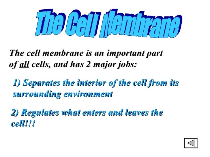 2-primary-functions-of-the-cell-membrane-ekolm