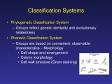 Classification Structure Function Ppt