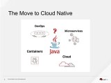 Cloud Native Java Development Patterns Odp