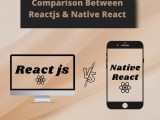 Comparison Between React Js React Native Pdf