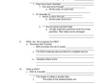 Dna Structure And Function Notes Doc