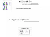 Dna Structure And Function Notes Doc