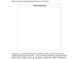 Dna Structure And Function Notes Doc