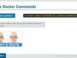 Docker Commands With Examples Docker Tutorial Devops Tutorial
