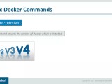 Docker Commands With Examples Docker Tutorial Devops Tutorial