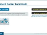 Docker Commands With Examples Docker Tutorial Devops Tutorial