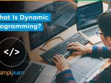 What Is Dynamic Programming Dynamic Programming Explained