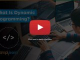 What Is Dynamic Programming Dynamic Programming Explained