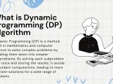 Dynamic Programming Algorithm Csi 504 Pdf
