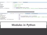 First Look On Python Ppt