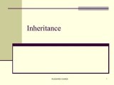 Dr Rajeshree Khande Java Inheritance Ppt