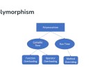 Inheritance And Polymorphism Oops Concepts In Python Pdf