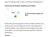 Integrating Python With Nodejs And React Powerful Combination For Web